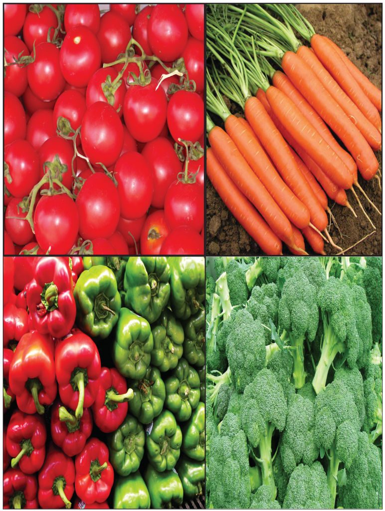 PRODUCE LABELS - CFS, Inc.